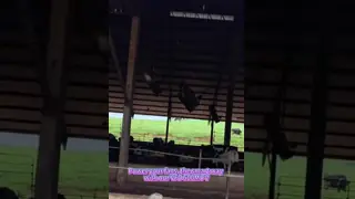 VEIKONG VFD500M PV used for fans