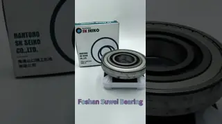 Vacuum Pump Bearing