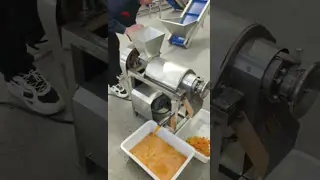Industrial Juicer Machine