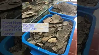 OUD Agarwood: Natural Perfume & Incense Raw Material