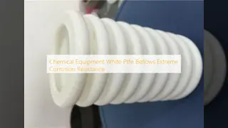 PTFE Bellows Extreme Corrosion Resistance Chemical Equipment