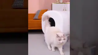 Factory Supply Smart Self Cleaning Cat Litter Box WiFi Automatic Pet Litter Box for B2B Bulk Buyers