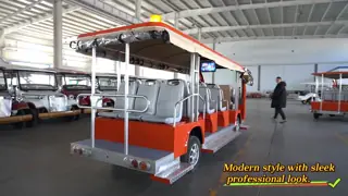 Low Carbon Electric Public Transport Bus