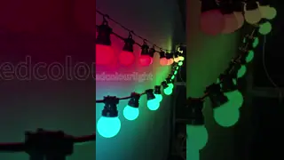 50mm DMX Bulb String Lights
