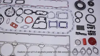 M11 Engine Overhaul Kit OE 4025297 Rebuild