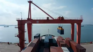 LCL Sea Freight Transportation Customs Clearance Global Coverage Real Time Tracking
