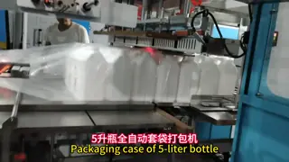 5L Fully auto packaging machine