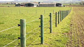 How to Secure Your Livestock Fence: Testing the Best Electric Fence Insulators