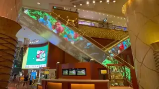 Transparent LED Display