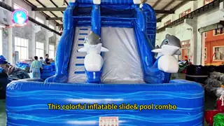 Giant Inflatable Water Slide With Pool Commercial PVC Bouncer Playground Custom Outdoor Inflatable C