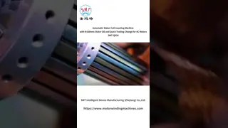 Automatic Coil Insert Machine for Motors