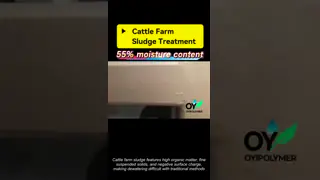 Cattle Farm Sludge Treatment OYIFLOC PAM