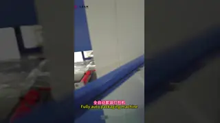 Fully auto packaging machine with stable performance