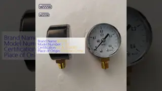 50mm Gas Pressure Gauge 0.4MPa Bottom Connection