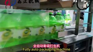 Fully automatic packing machine for large-capacity dishwashing liquid bottles