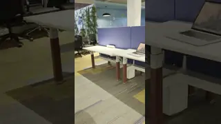 Professionally Customized Sit Stand Desk Electric Height Adjustable Computer Workstation Desk