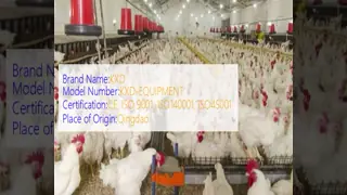 Breeder Cage: Healthier Birds Uniform Growth