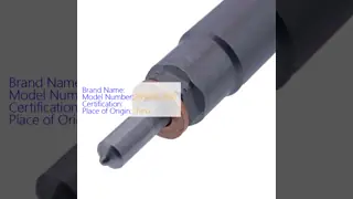 Isuzu Fuel Injector 295050 2130 for Engine Power