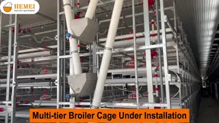 Multi-tier automatic harvesting broiler cage