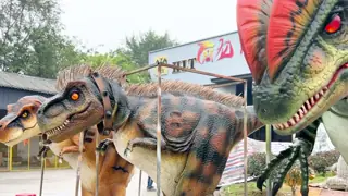 Dinosaur Suit for Performance