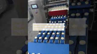 Dough Divider Rounder Machine: Fast & Easy Baking