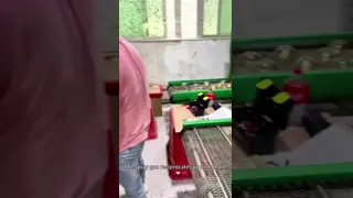 Smart Spray Paint Machine Glass Bowl Glaze UV