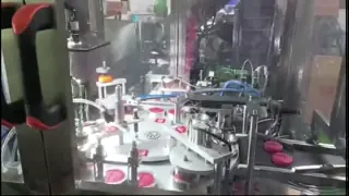 3000 Caps Hour Stainless Steel Cap Machine