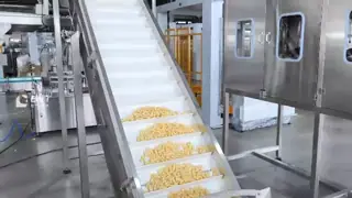 French fry filling production line