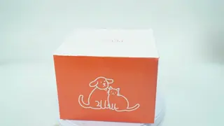 Bulk Smart Pet Water Fountain, Quiet, Filtered, Leak-Proof For Dogs Cats OEM ODM For You