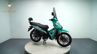 Removable Battery, Long Range Commuter