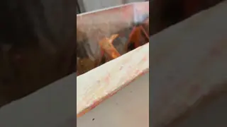fully automatic soap production line