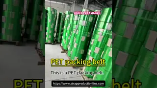 PET strapping steel strap