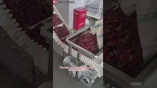 spice Belt Conveyor System
