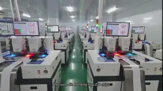 Professional LED Strip Production: Die Bonding Workshop