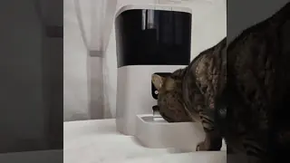 Smart Automatic Cat Feeder Large Capacity Anti-Jam Battery Backup Easy Clean Pet Food Dispenser Bulk
