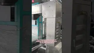 Z Type Bucket Elevator Food Grade Conveyor