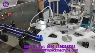 2189 M10 Rotary Automatic Single-Row Bottle Filling and Capping Machin
