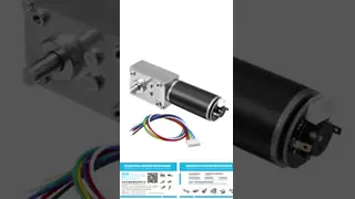 FT-58SGM31ZY Worm Gear DC Motors