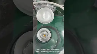 Post Top Light Garden Light 50W With High Efficiency Used In Parks And Streets.