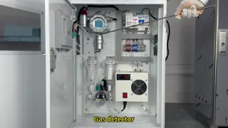 Pump Suction Online Gas Monitor System