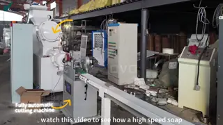 Soap Cutting / Stamping Machine