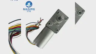 worm gear motor