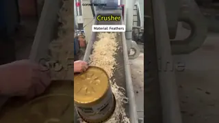 Poultry Feather Grinding Machine for Fertilizer Raw Material