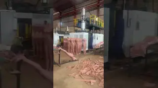 Plastic human model Extrusion blow molding Machine for Sale