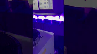 LED UV Curing System Fast Glue Cure