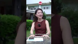 Lower Your Taxes Now