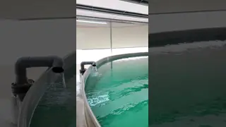 High-Density Catfish Farming System | Indoor Factory RAS with Complete Filtration