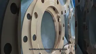 Copper-Nickel Flanges: Superior Seawater Corrosion Protection for Demanding Marine Environments.