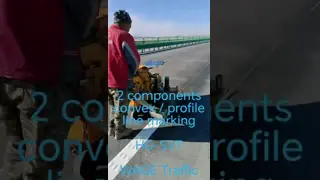 two components 2K  profiled line road marking machine
