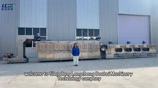 Double-bowl roasting production line introduction